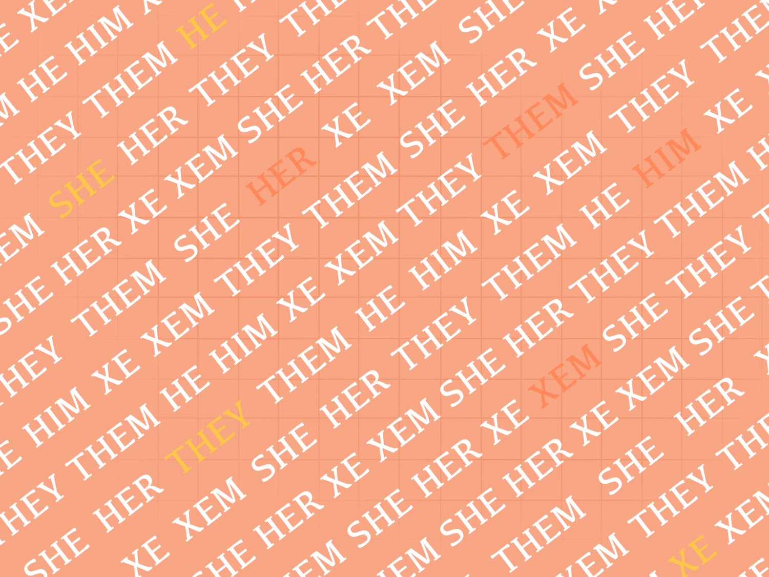 Put your pronouns in your zoom name – Lake Views